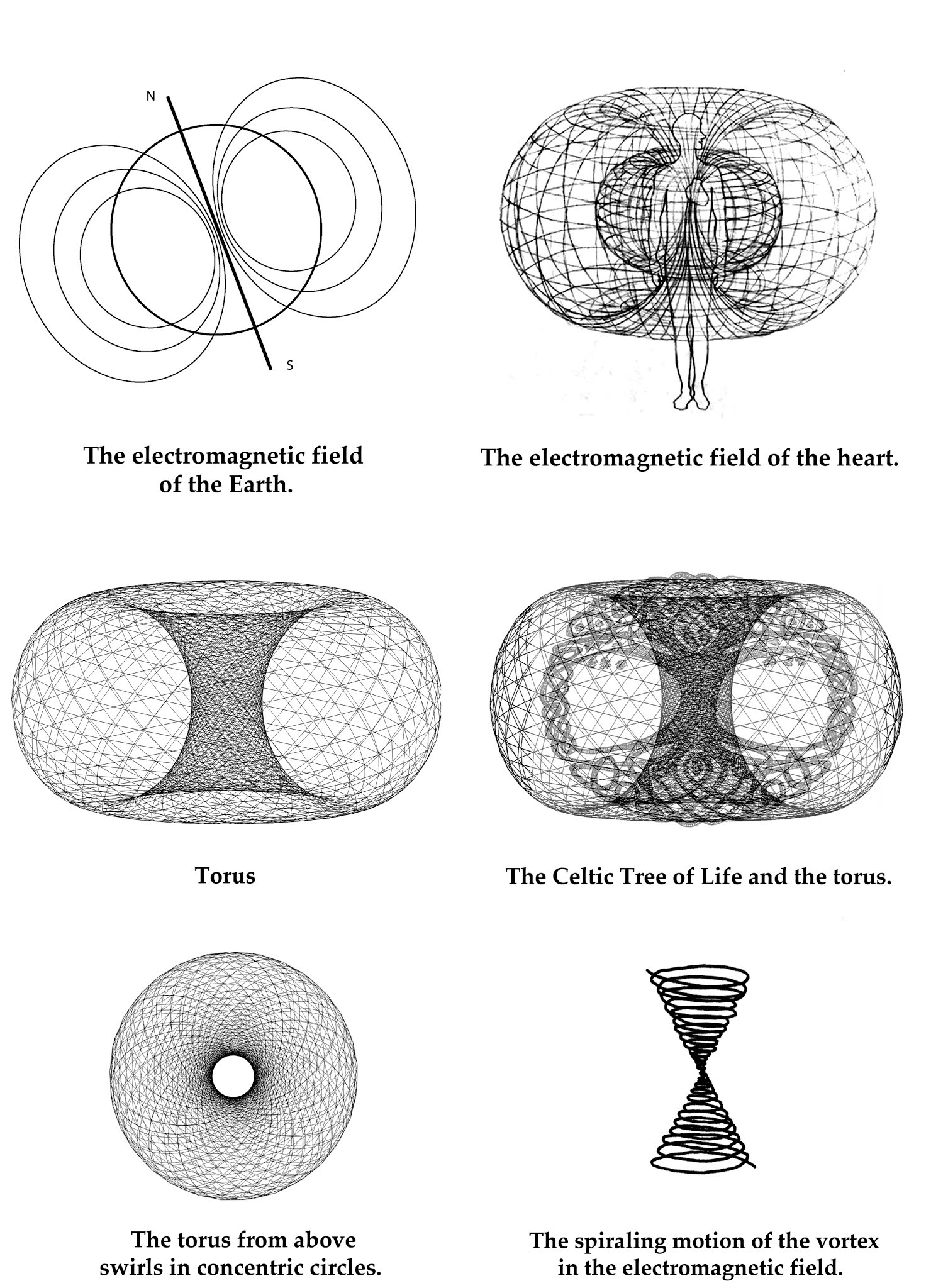 Iva Kenaz: THE WORLD TREE, AXIS MUNDI, TORUS, AND THE EMF