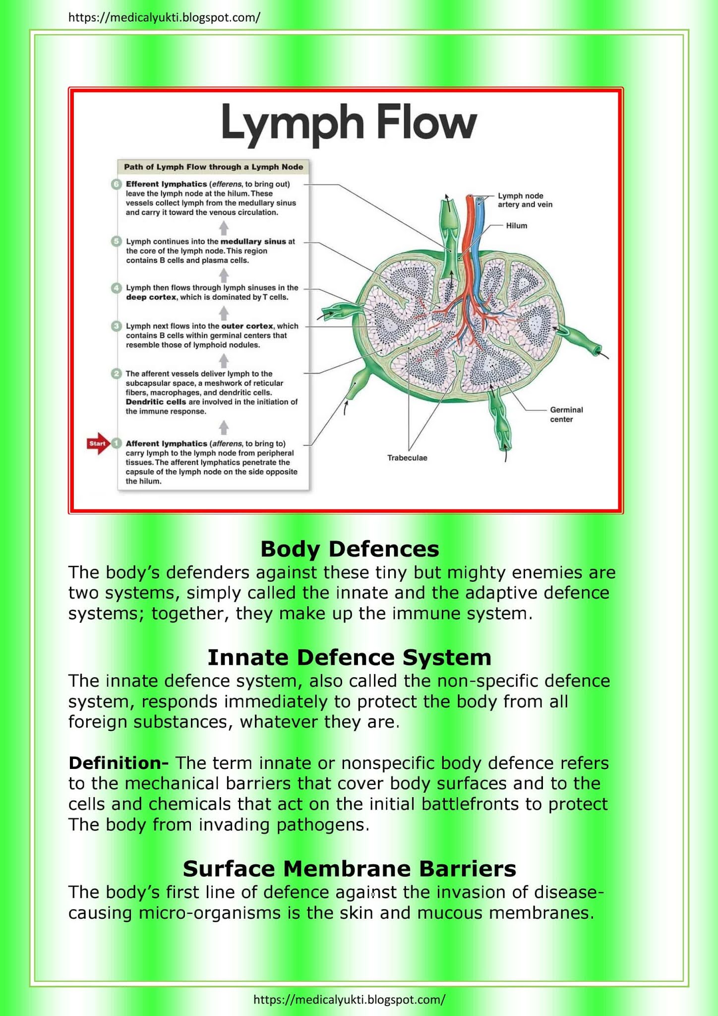 Lymphatic System Anatomy Physiology - Medical Yukti