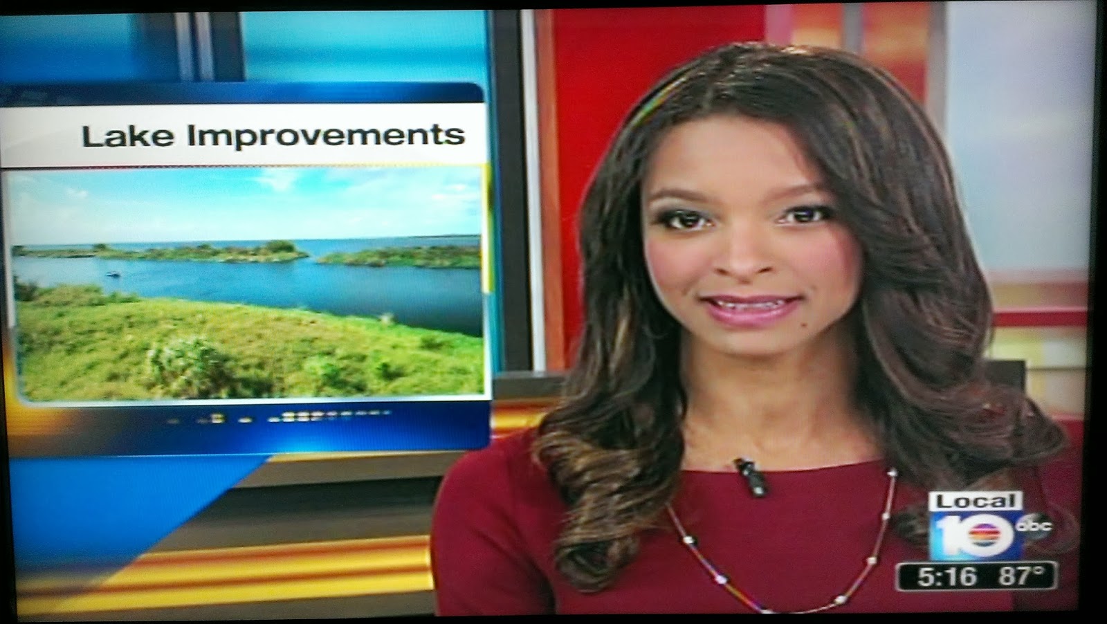 The Crafty Reporter: Constance Jones - My TV Looks