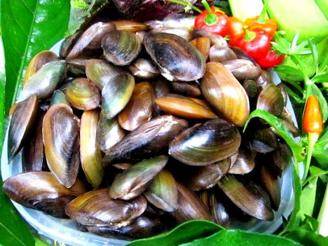 LƯU KHÂM HƯNG (劉欽興): CON TRÙNG TRỤC