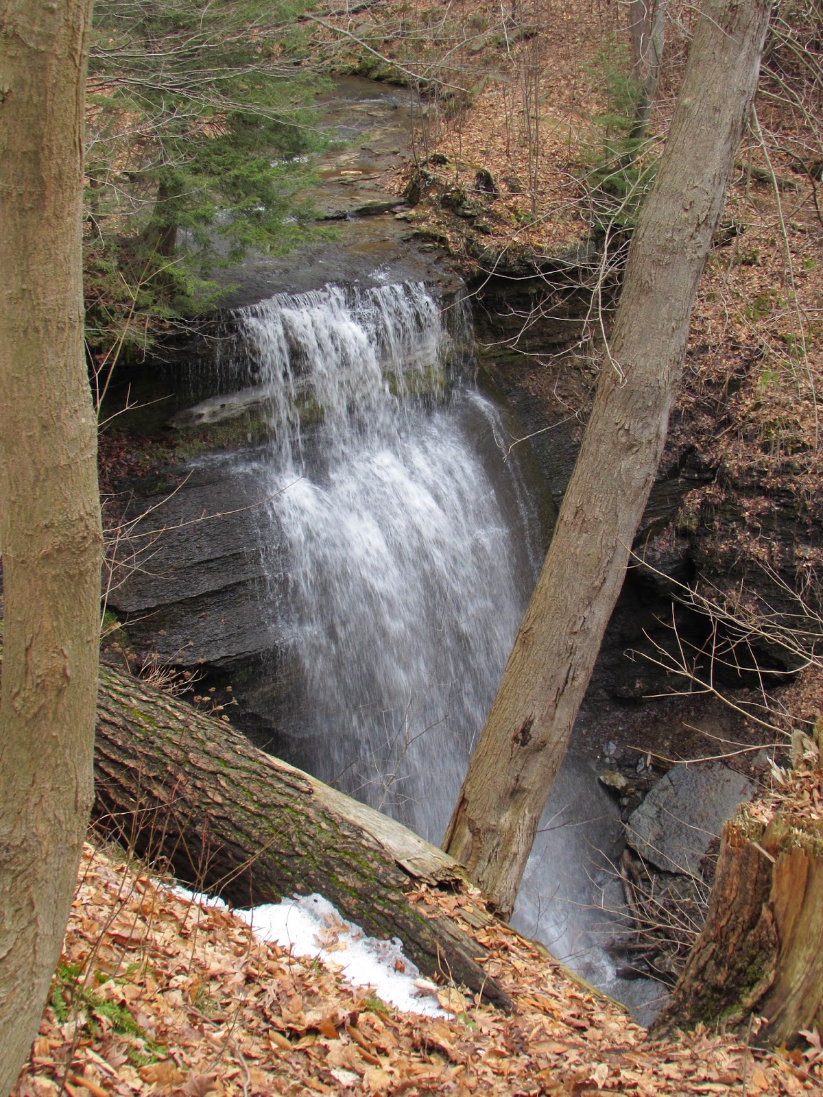 PA Waterfalls Bucket List: Our 25+ Favorite Waterfalls in the State ...