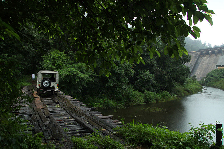 Your Travel My Vision: A Lovely Eco-Tourist Spot - Gavi, Kerala, India