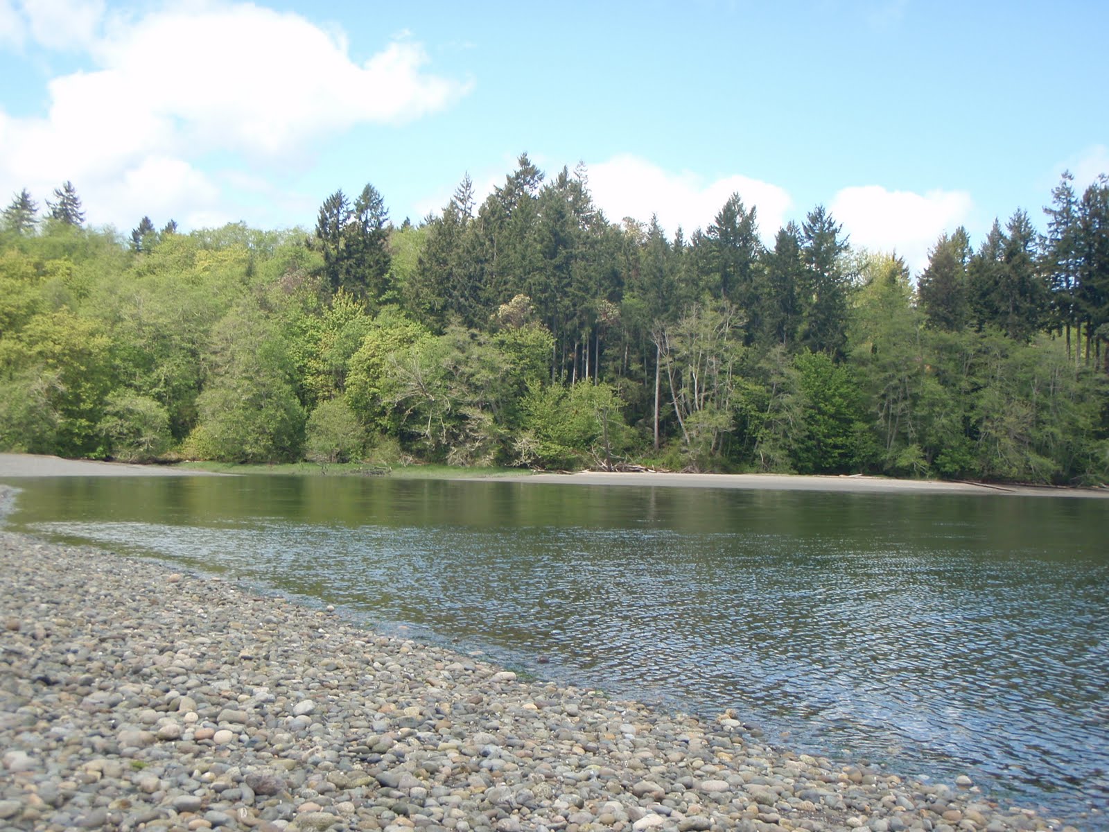 Swing and Slide: Tolmie State Park
