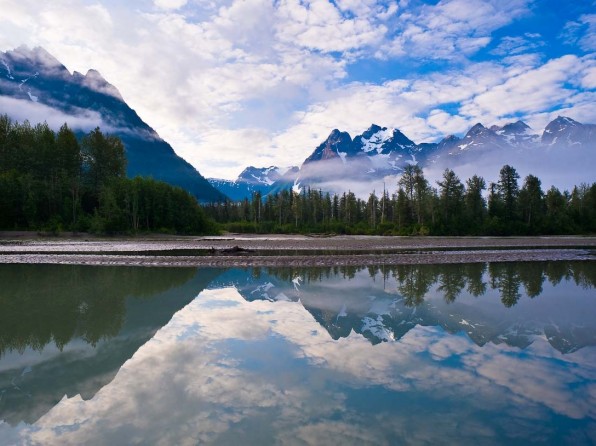 forwards4all - fun 'n' masti: Protecting Canada’s ‘Blue’ Forest