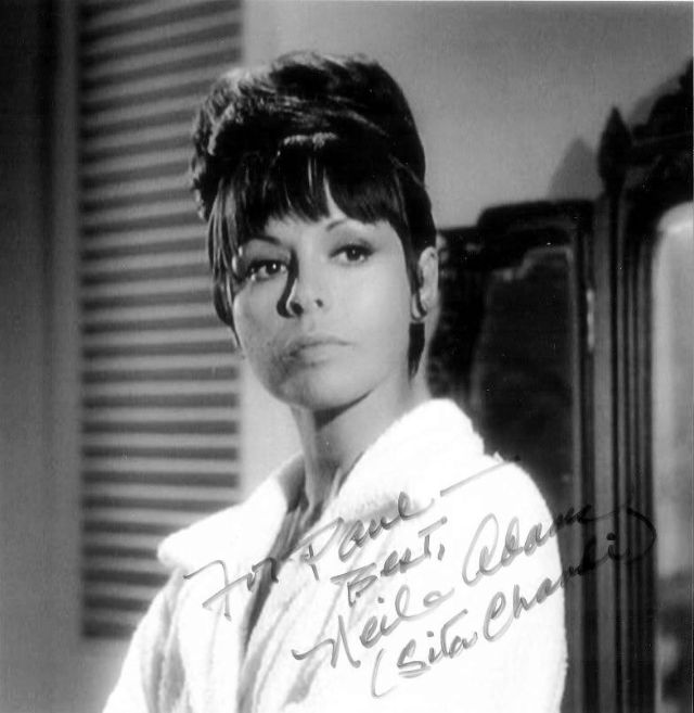 Beautiful Photos of Young Neile Adams, the First Wife of Steve McQueen ...