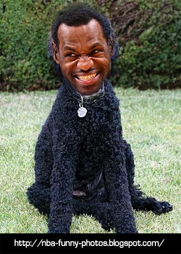 NBA Farm - Players and their Animals Look Alike | NBA FUNNY MOMENTS