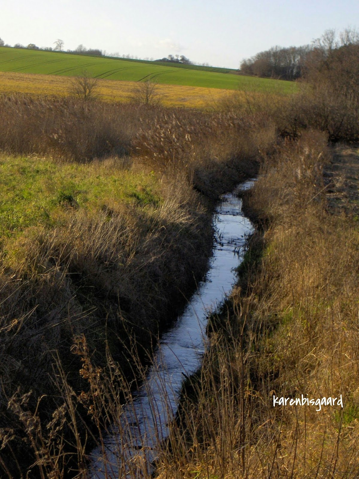 Karen`s Nature Photography: Ditch with Water Through Landscape.
