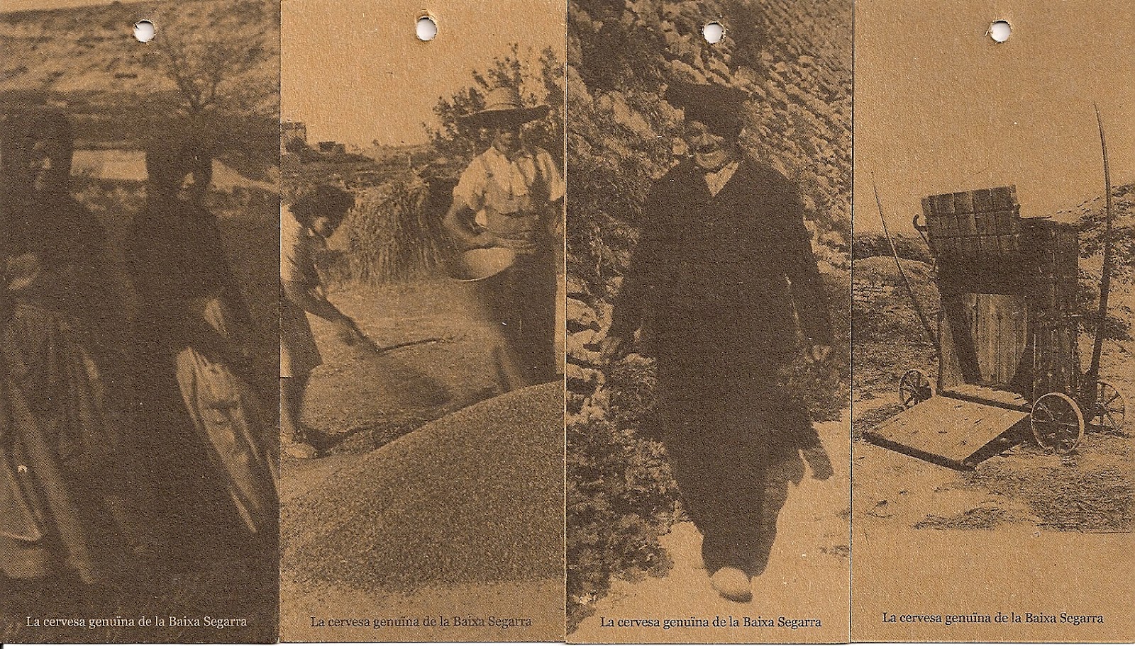 Cerveza Artesanal en Catalunya: Cervesa de la Segarra