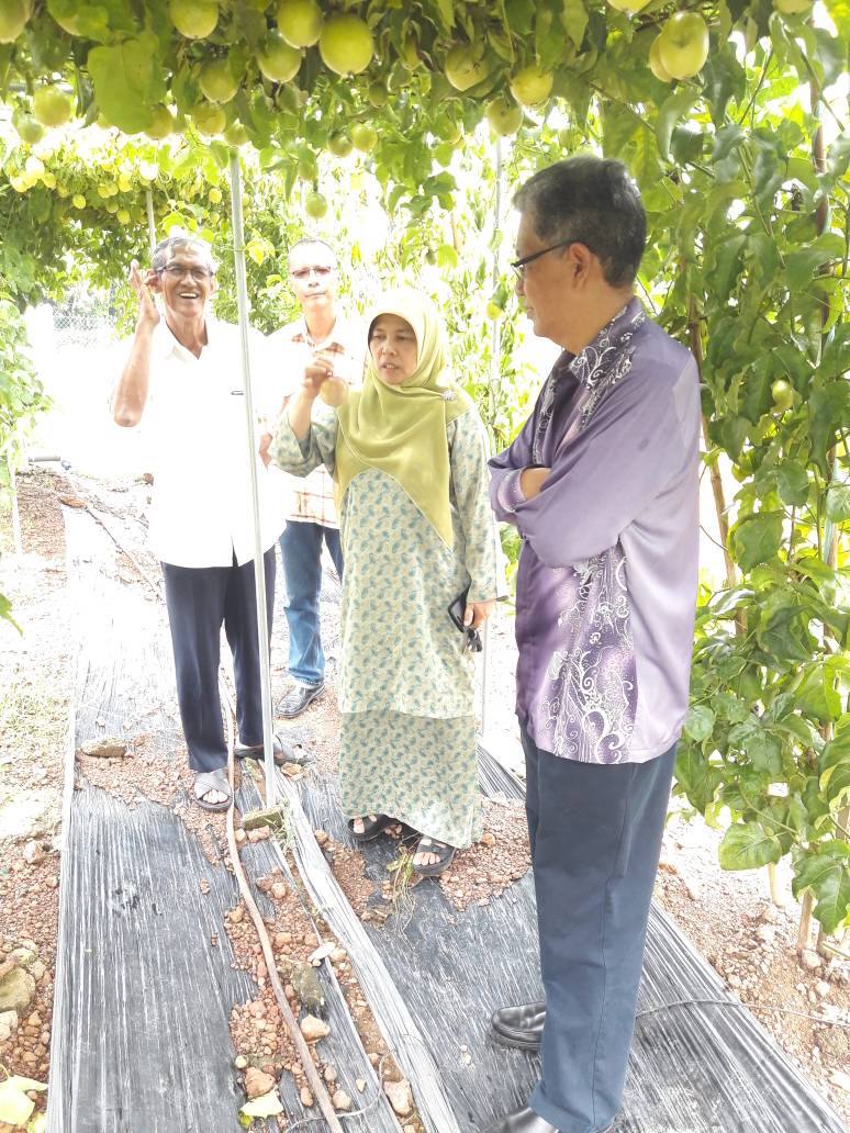 PERTUBUHAN PELADANG KAWASAN MELAKA TENGAH