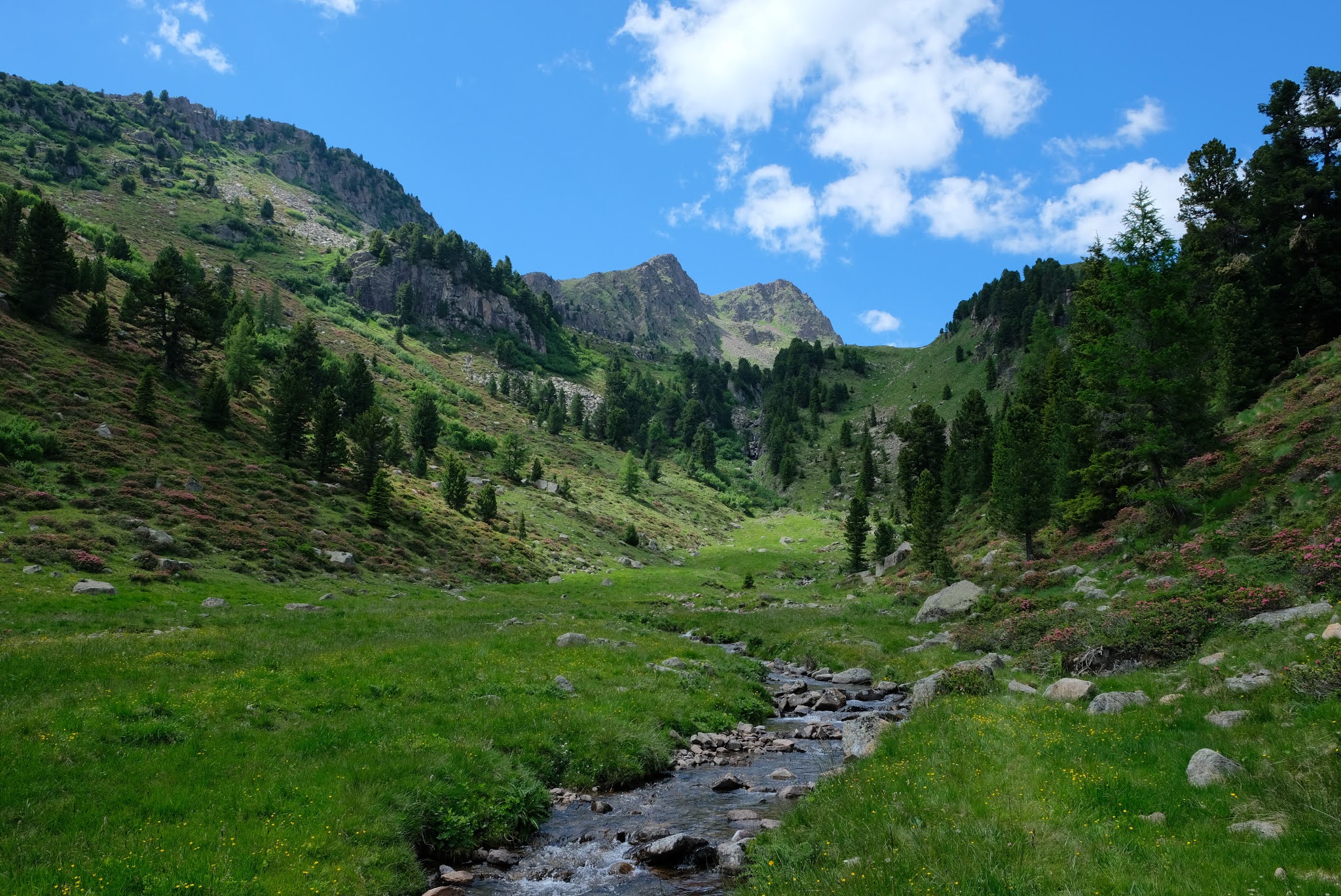 Escursioni Lagorai: 13 da non perdere