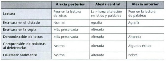Neuroanatomía del lenguaje y las afasias