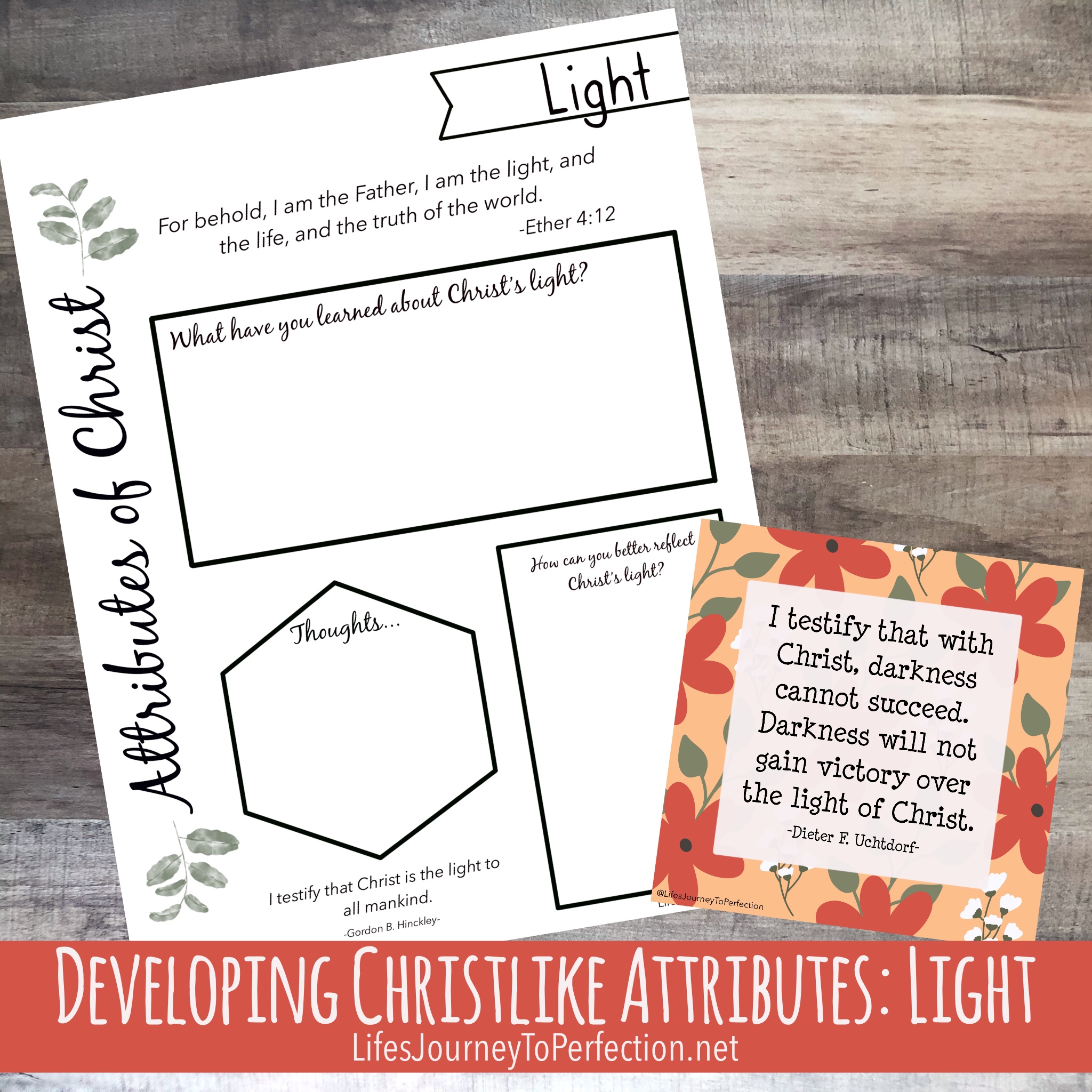 Life's Journey To Perfection: Spiritual Goal, A Year of Coming Unto ...