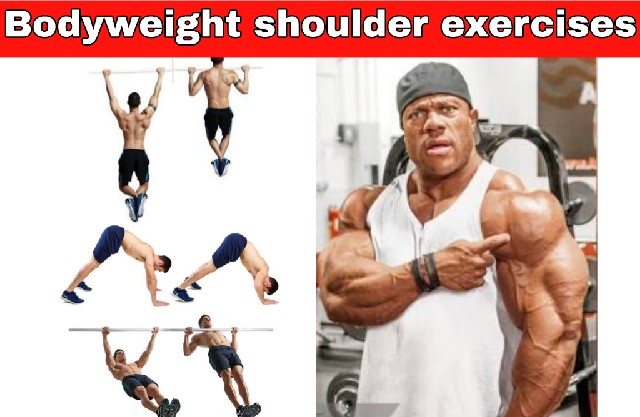 bodyweight shoulder exercises ~ MY FITNES CENTRE