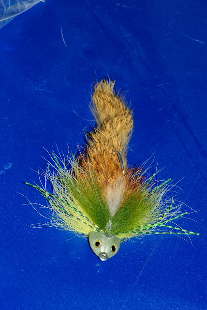 Siren Flies: Blood Belly Goby - Calico Bass Fly