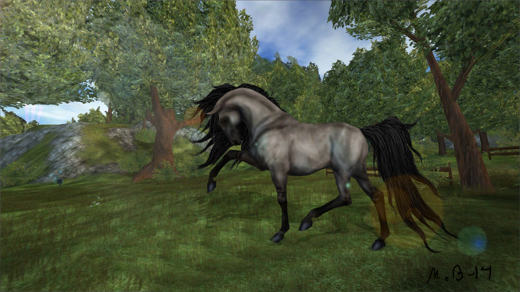 Jennifer Coldwood: Jak zrobić edit dla Star Stable