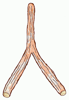 Workshops 'Natuur in de kinderopvang': Met de sporometer vind je alle ...