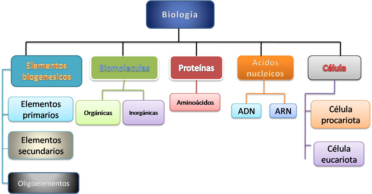 Biologia.: los bioelementos