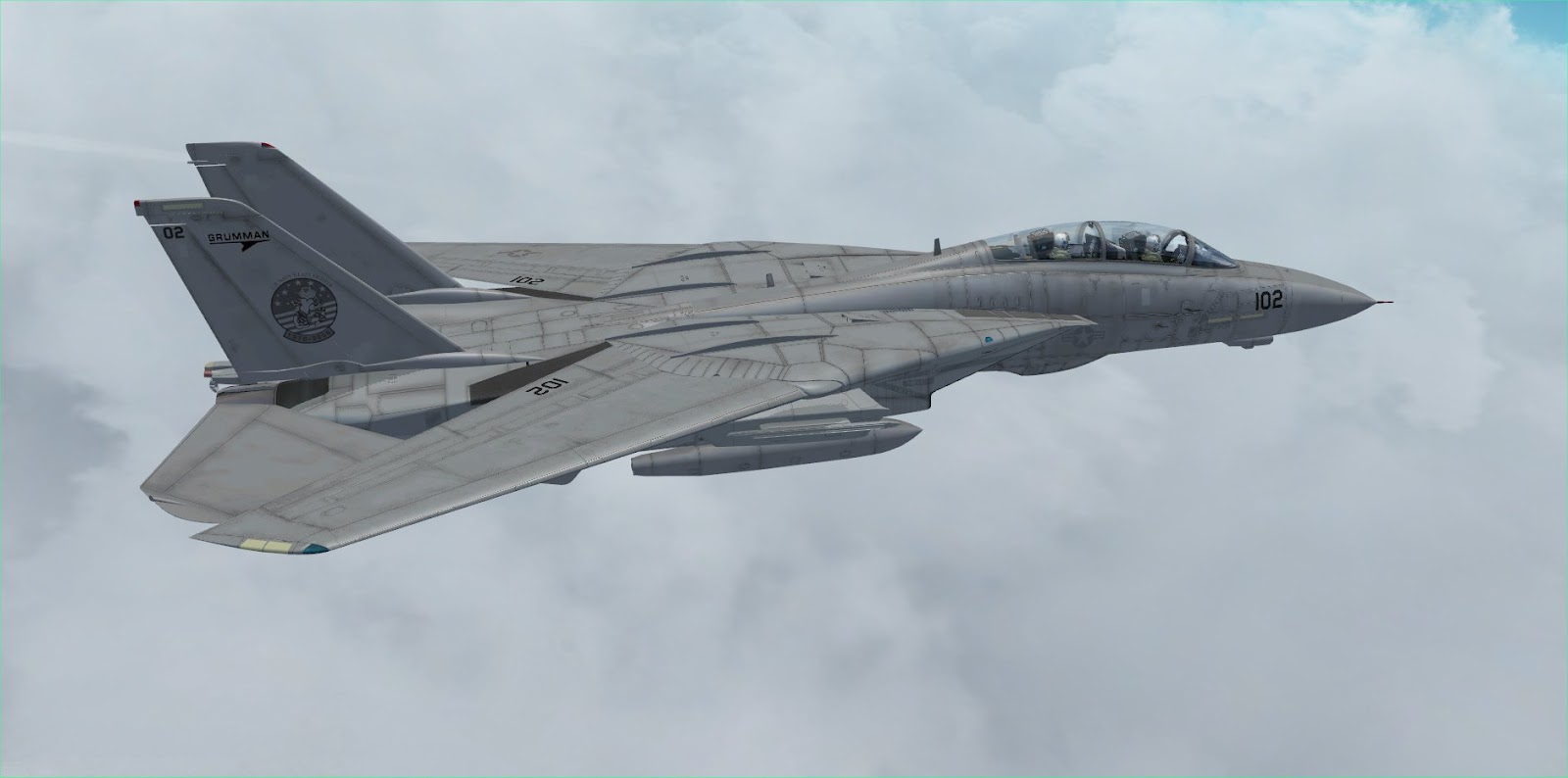 IndiaFoxtEcho Visual Simulations: F-14D Tomcat 2.00