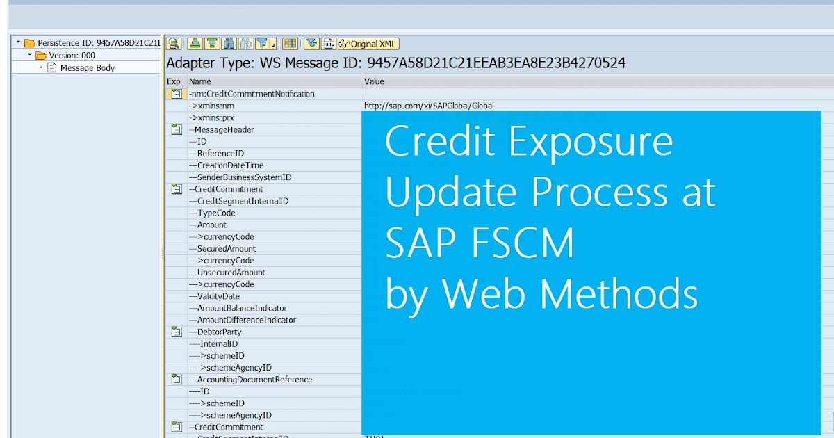 SAP ABAP Central: Credit Exposure Update Process at FSCM by Web Methods