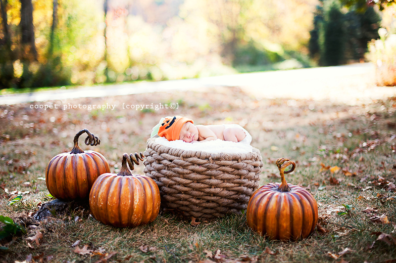 Coopet Photography: I love fall & babies!