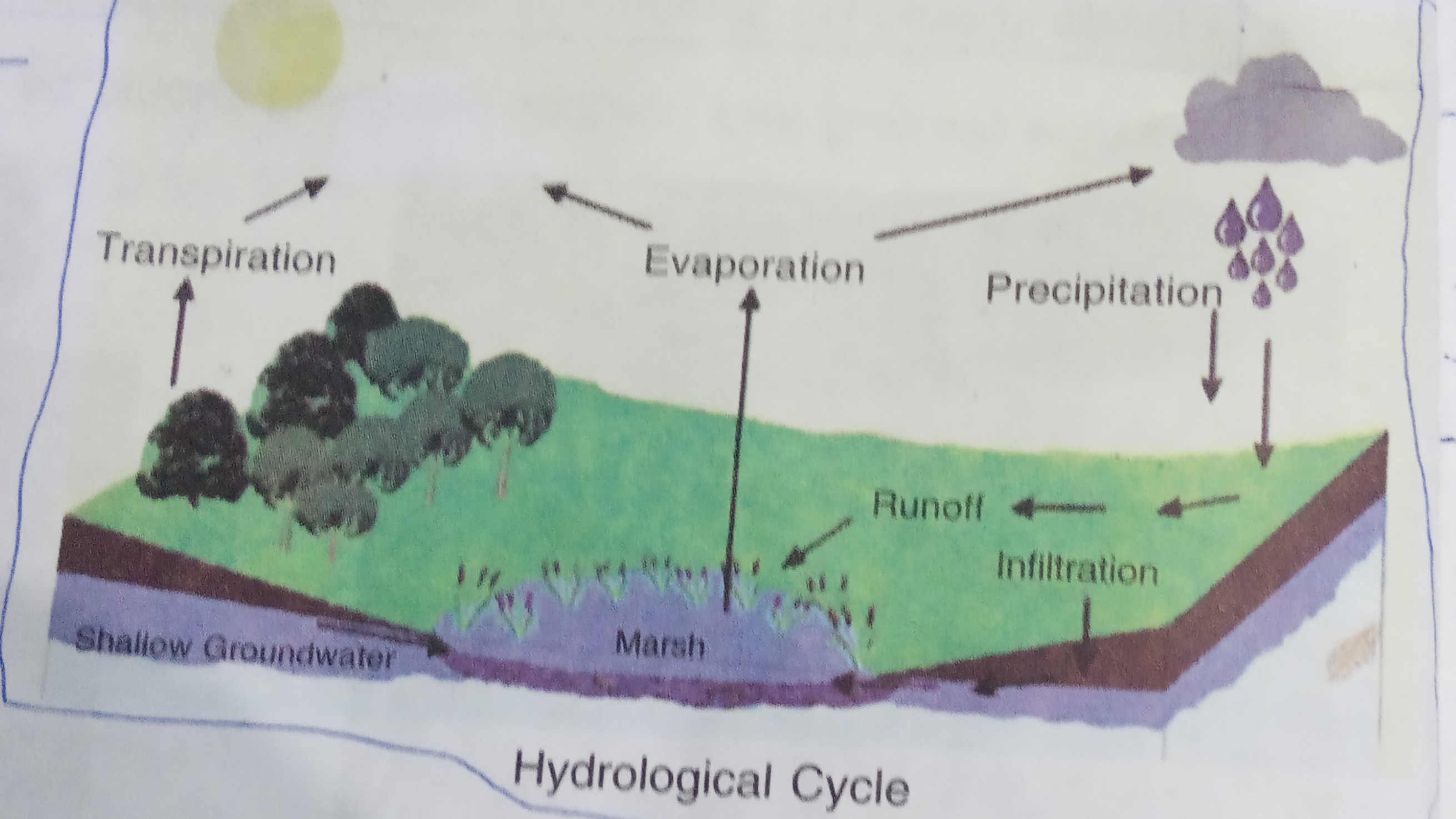 VIII NATURAL RESOURCES:-LAND, SOIL AND WATER