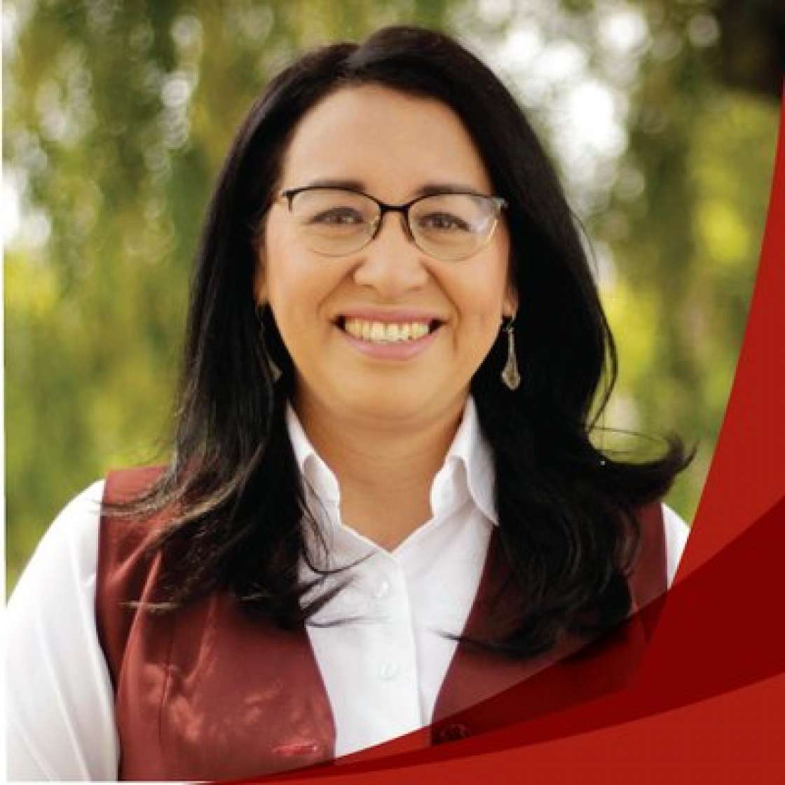 Contexto Mexiquense: LA DIPUTADA LOCAL AZUCENA CISNEROS COSS, IMPULSA ...