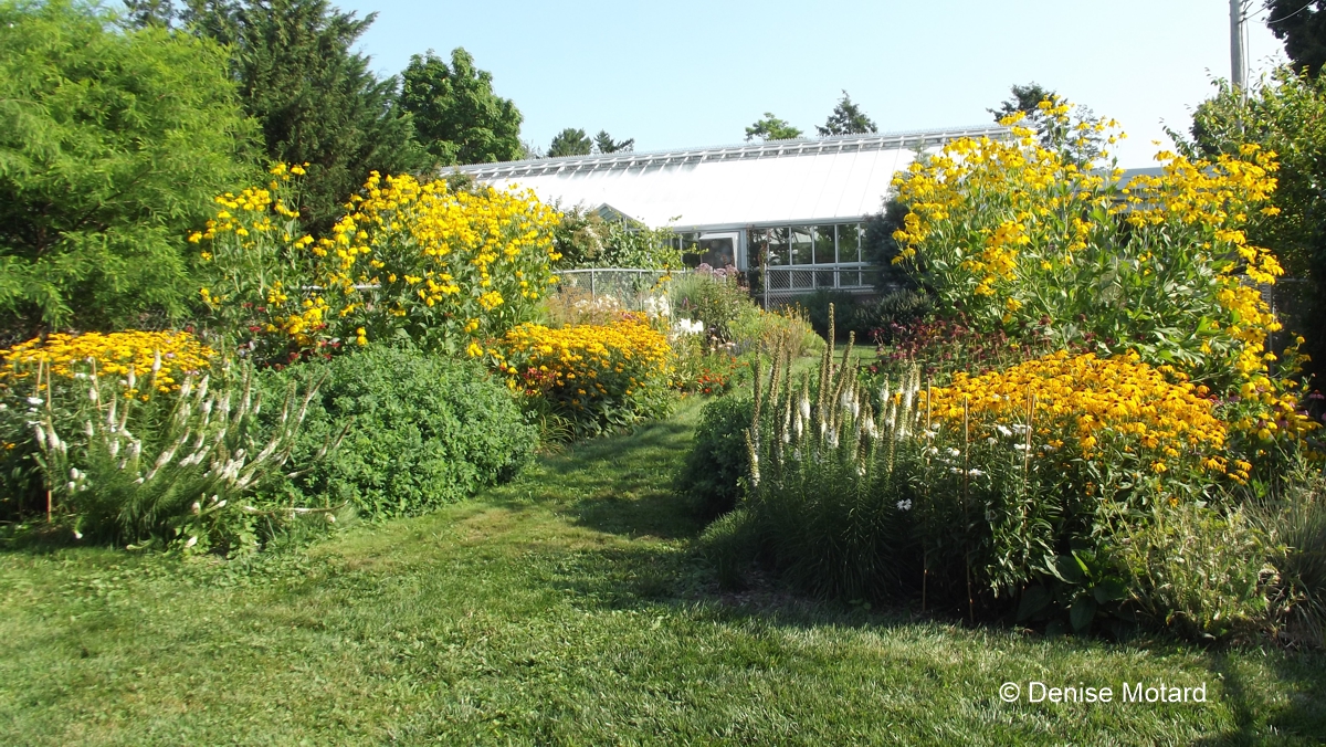 MARSH BOTANICAL GARDEN