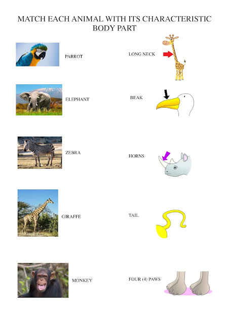 CHALLENGE 13: ANIMALS BODY PARTS