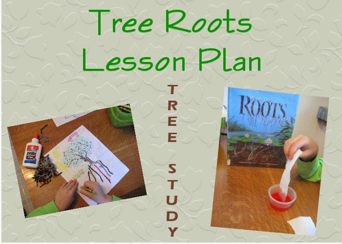 To The Rock Homeschool: Tree Study. Tree Roots~K-1 Grade Lesson