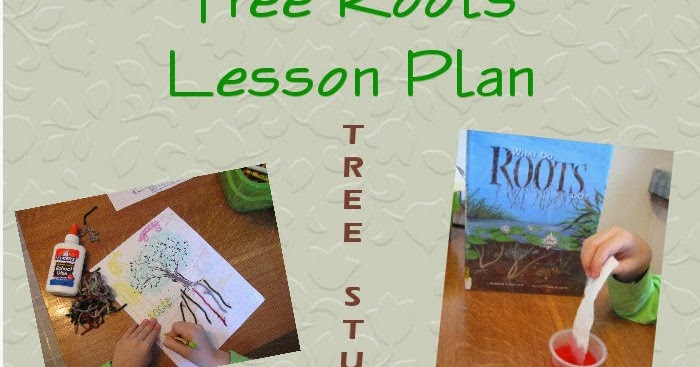 To The Rock Homeschool: Tree Study. Tree Roots~K-1 Grade Lesson
