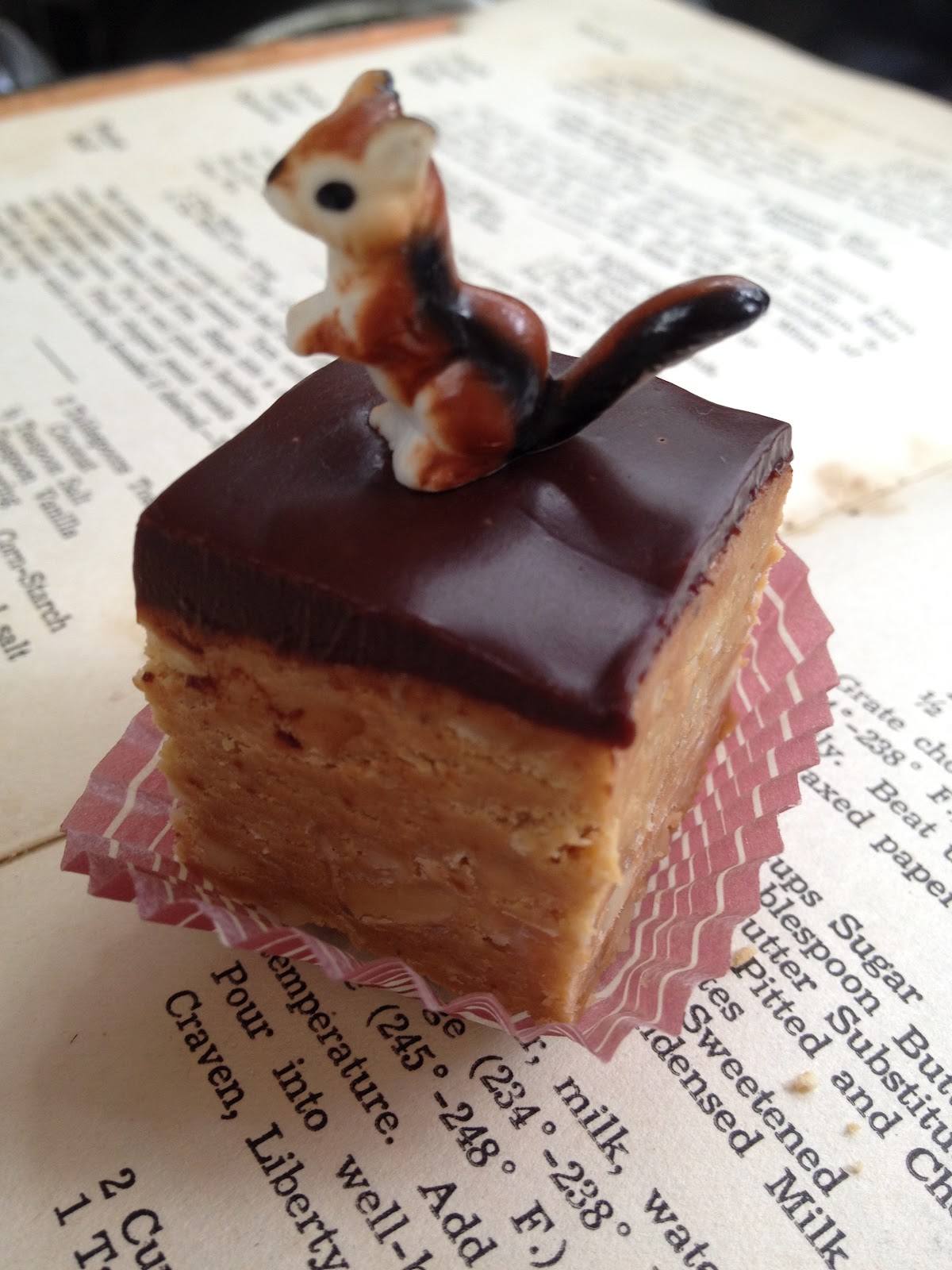 Squirrel Nut Fudge ~ Retro Recipe (1937)