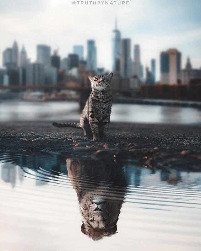 Design Stack: A Blog about Art, Design and Architecture: Surrealism in ...