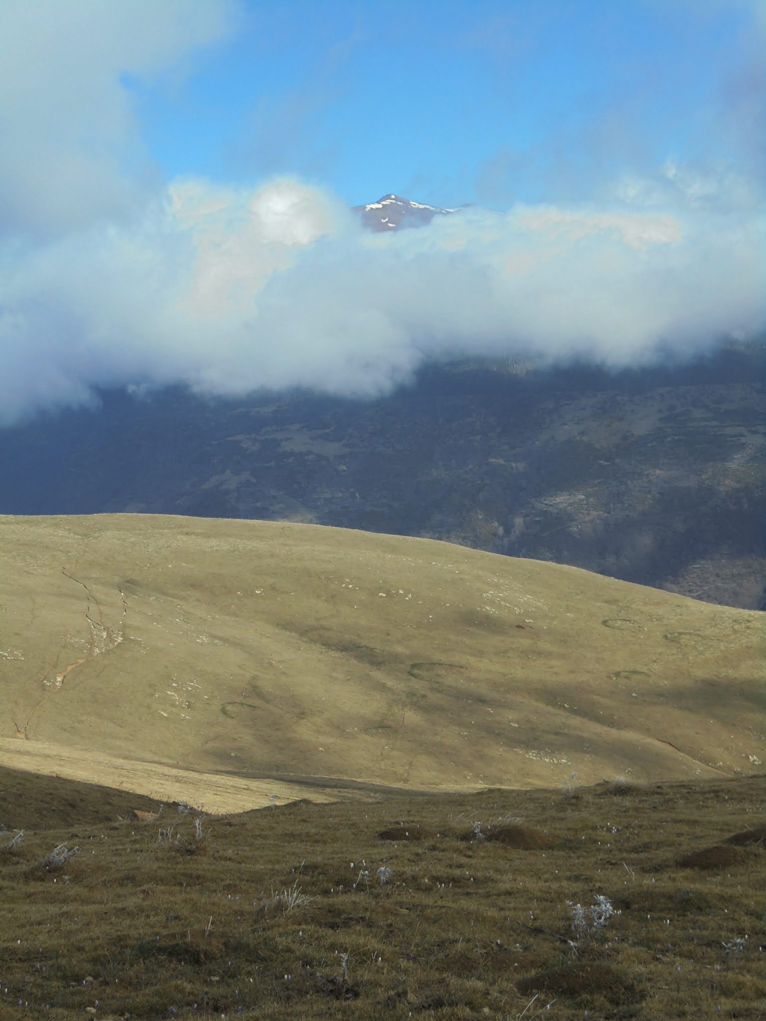 MUNTANYA: Sant Martí d'Ogassa, el Taga, 2040m i el turó de la Portella ...