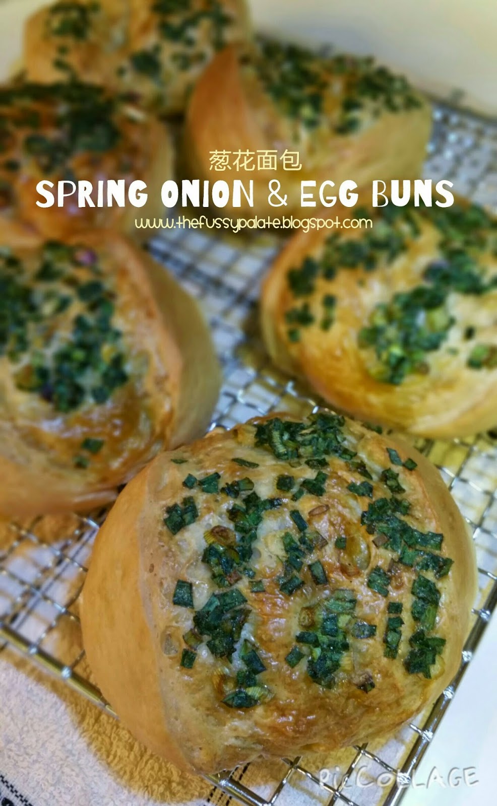 The Fussy Palate: Spring Onion & Egg Buns 葱花餐包