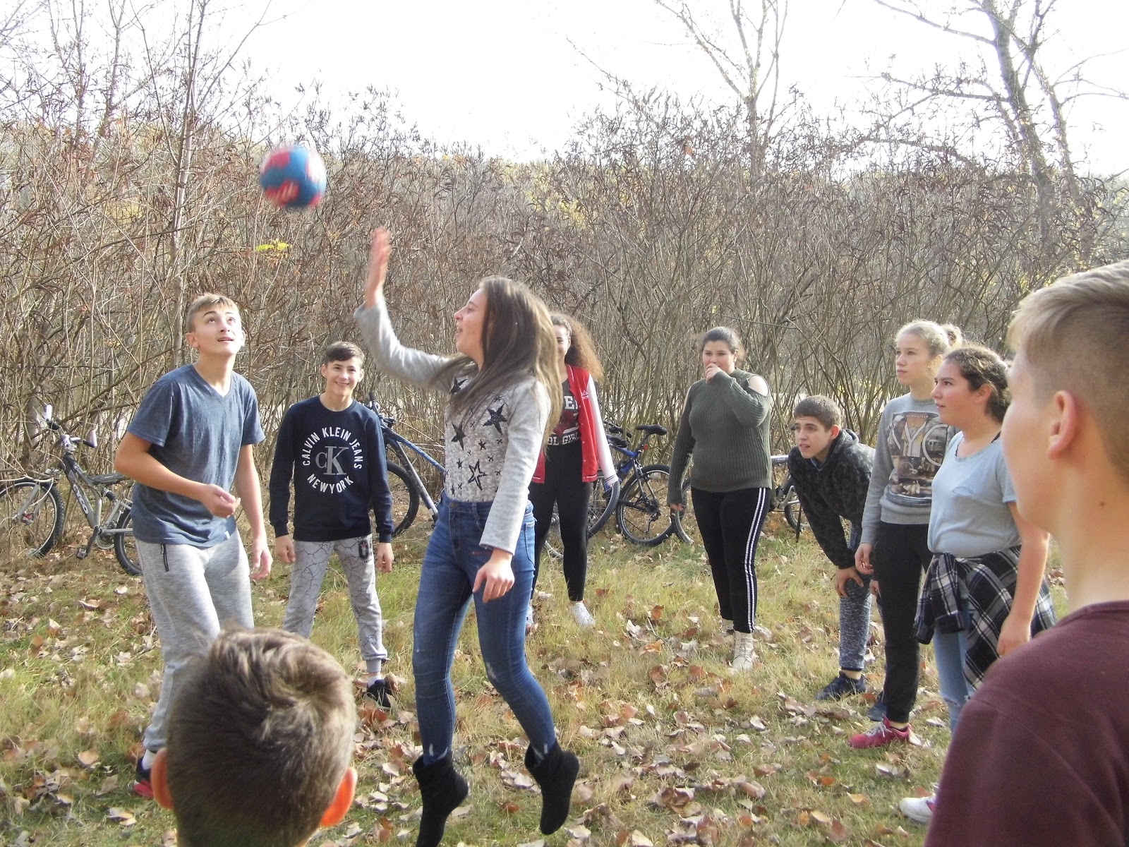 Scoala Gimnaziala "Dr. Ioan Danicico" SEMLAC: Contact