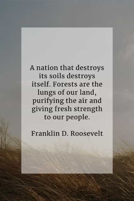 35 Environment quotes that'll influence protecting the earth