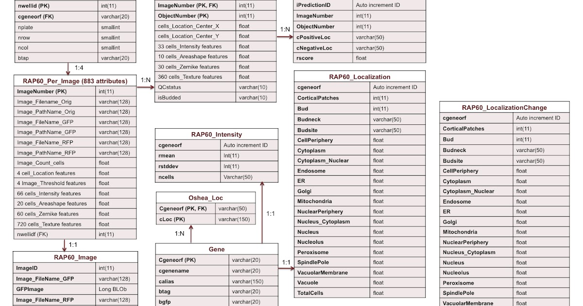 Open Notebook: yeast single cell protein levels http://cyclops.ccbr ...