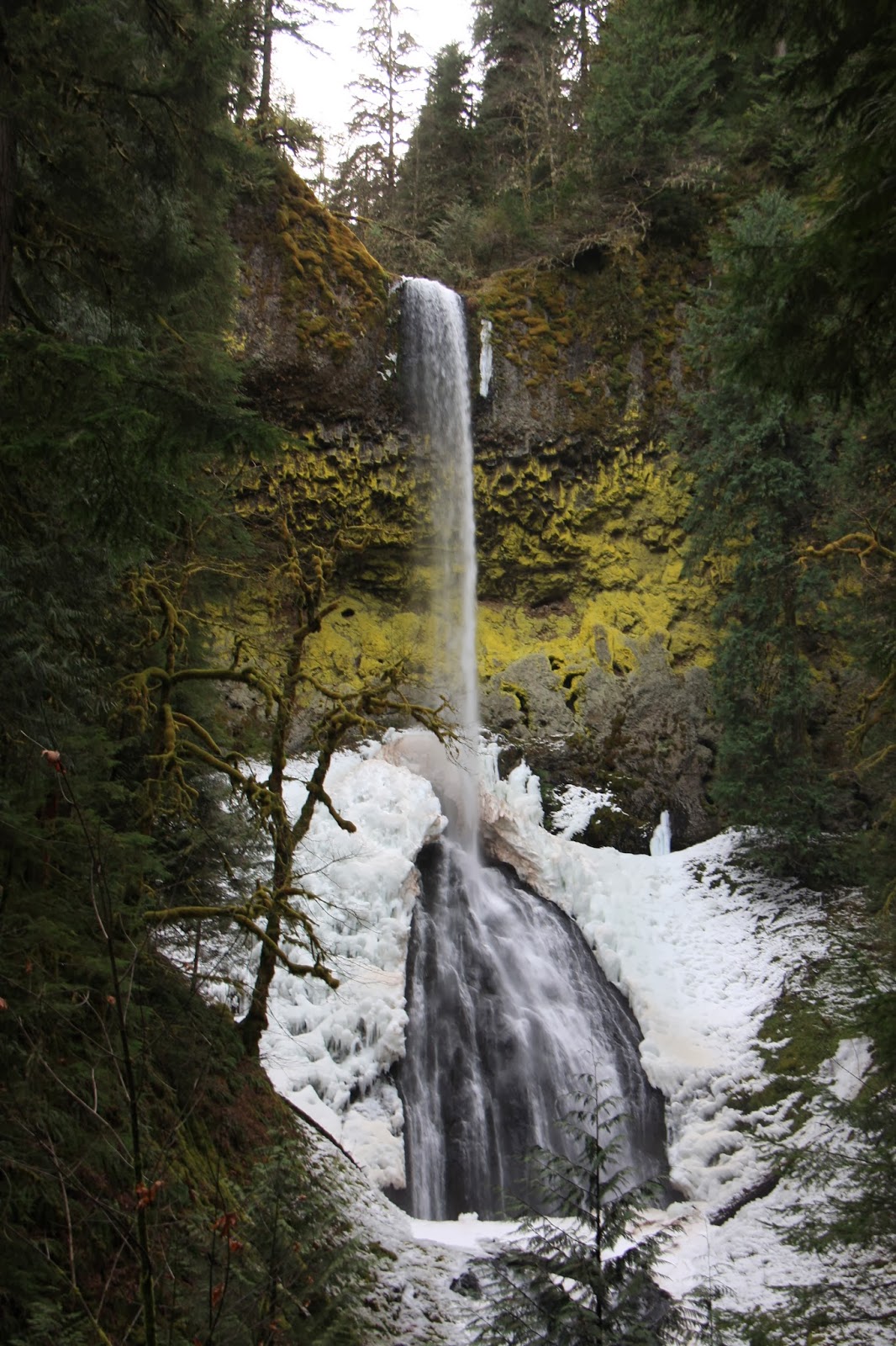 Oregon-Explorer: Exploring the Clackamas river trail #715 to Pup Creek ...