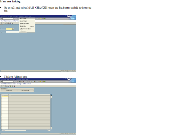 key2sap: Mass User Administration(SU10)