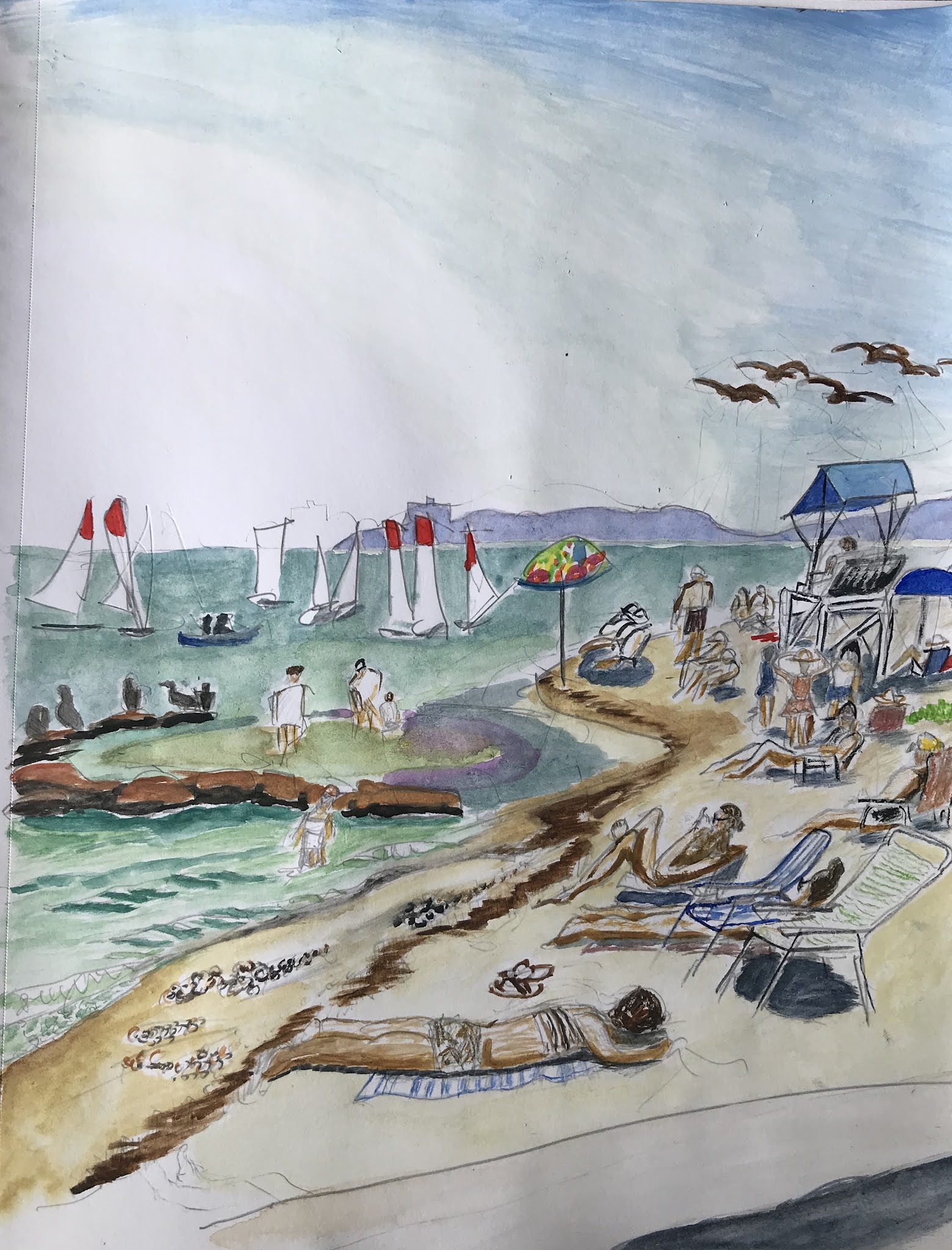 Sphinxmoth: Old Stone Dock Beach