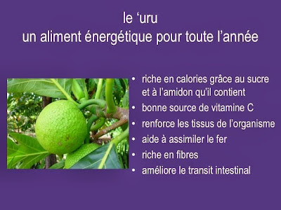 Sciences de la Vie et de la Terre - Huahine: Le 'uru (fruit de l'arbre ...