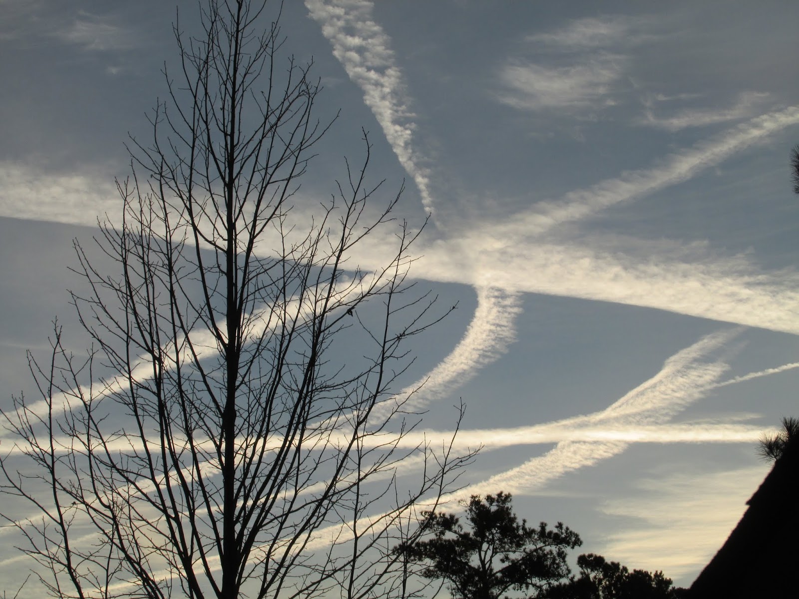 Georgia Girl With An English Heart: SS Meredith Victory, The Ship of ...