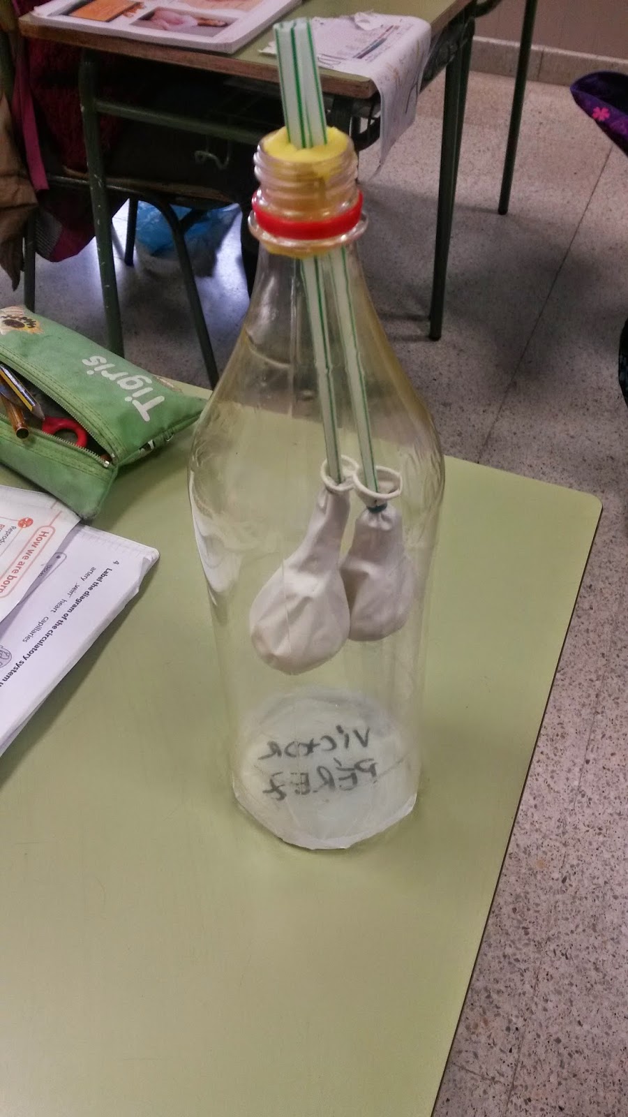 Scienceformeandyou: Experiment with the respiratory system!