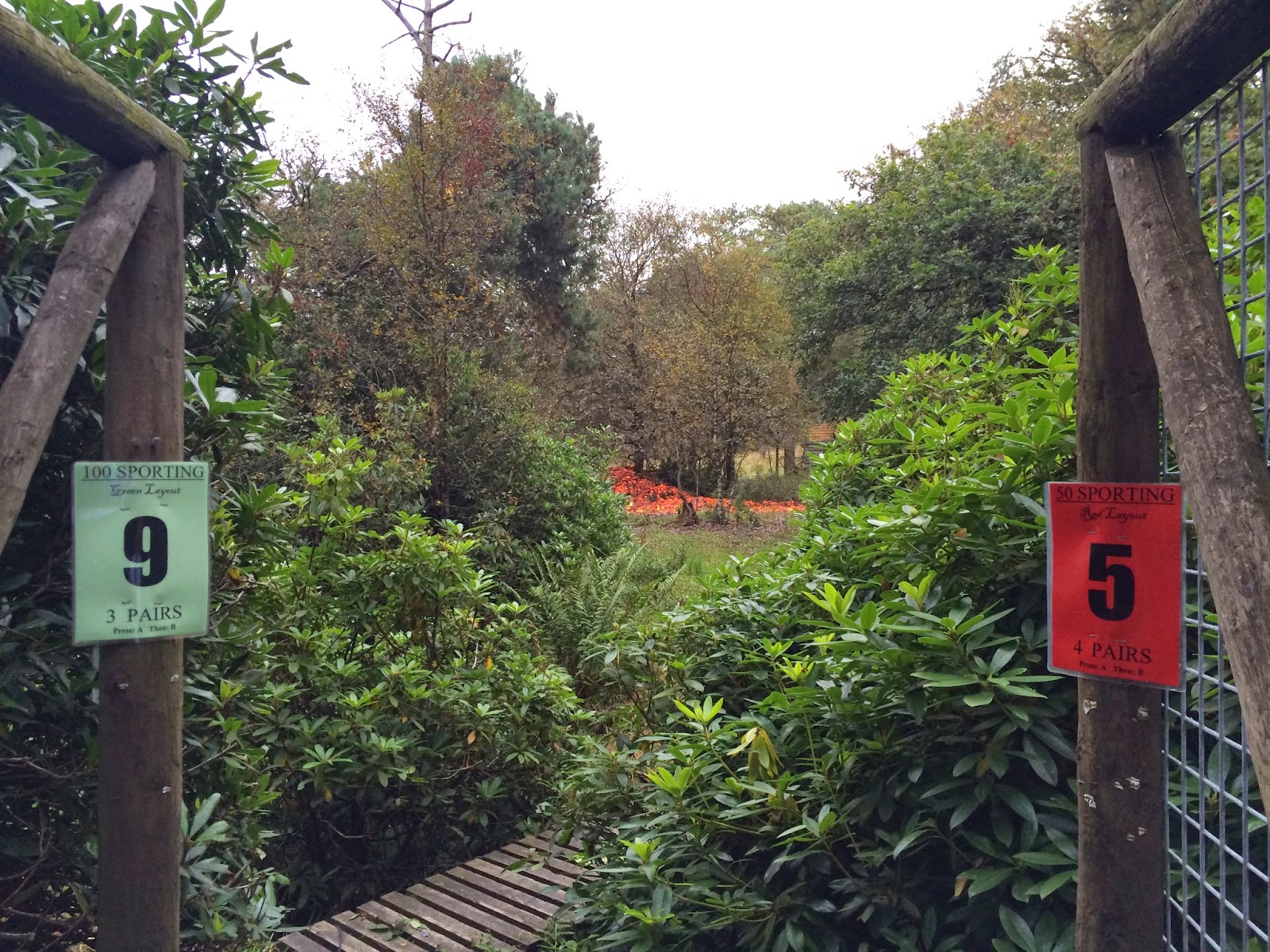 CLAY PIGEON SHOOTING ASSOCIATION: Richard's Diary.........Kelbrook ...