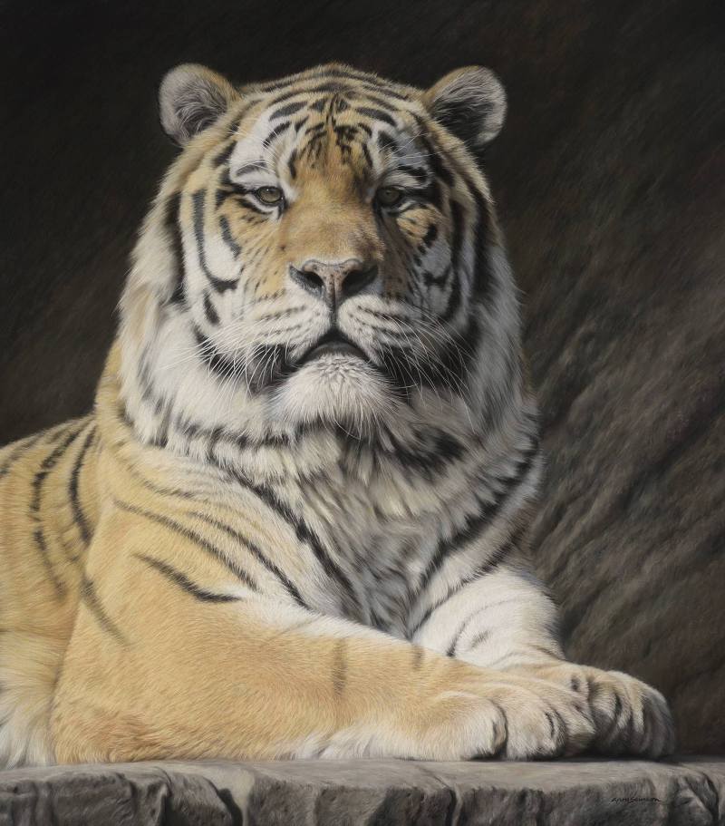 El Hurgador [Arte en la Red]: Gary Stinton [Pintura, Grandes felinos ...