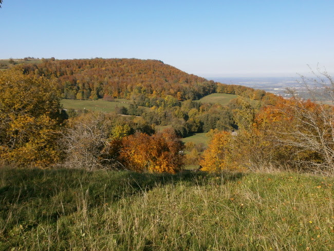 Die Schwäbische Alb und ihre Natur: Die Esslinger Alb um Randecker Maar ... Die Schwäbische Alb und ihre Natur: Die Esslinger Alb um Randecker Maar ...