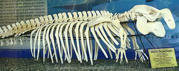 Make It Davao: June 2011