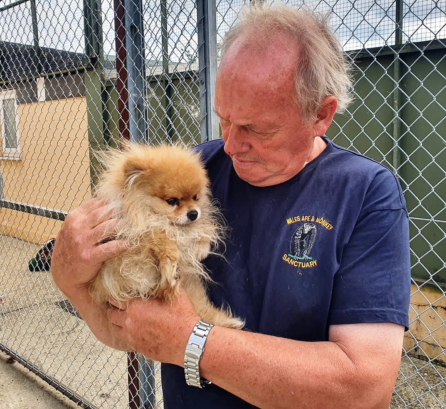 Cat Chit Chat: First pictures of Mr Farthing's animals in the UK at a ...