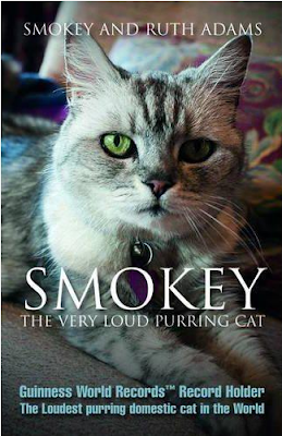 Catsparella: Meet Smokey, The World's Loudest Purring Cat!