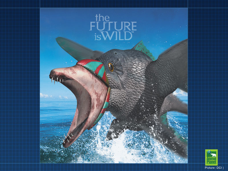 passie-bloempjes: The future is wild